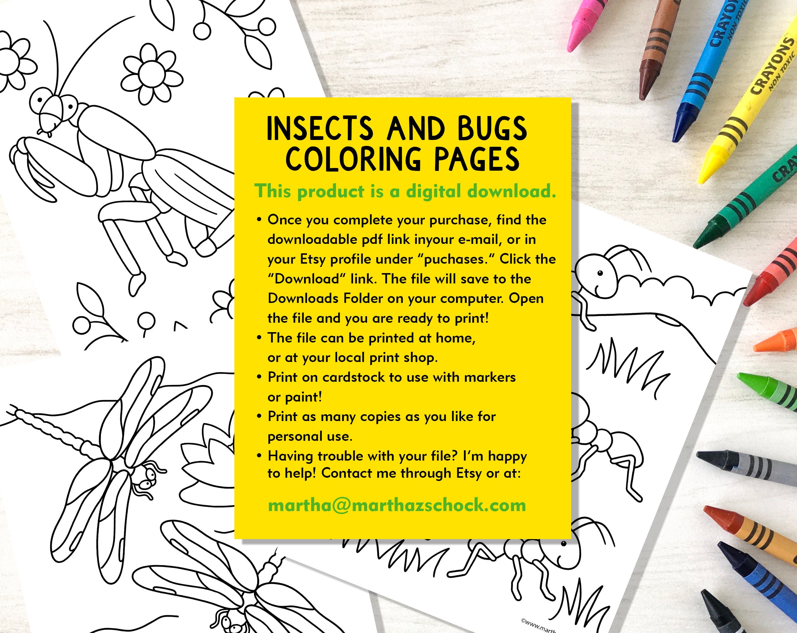 Insect & Bug Coloring Pages: Kids Activity (PDF Download) - Etsy