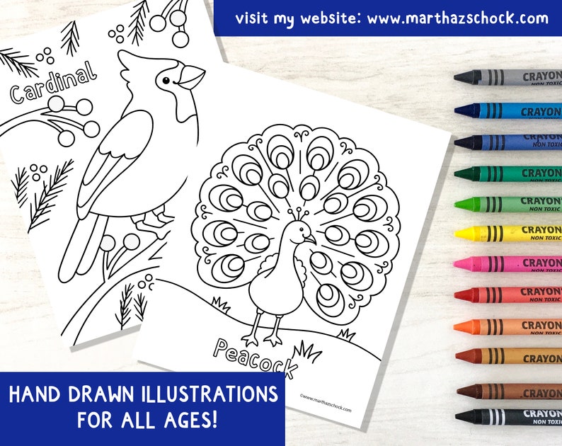 Bird Coloring Pages, Bird Coloring Sheets, Bird Identification Coloring ...