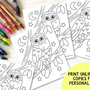 Nocturnal Animals Coloring Pages, Animals at Night, Nocturnal Animals ...