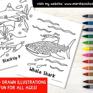 Shark Coloring Pages: Shark Week Activity, 15 Printable Designs (PDF ...