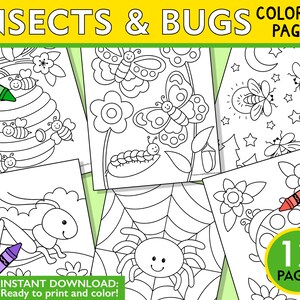 Insect & Bug Coloring Pages: Kids Activity (PDF Download) - Etsy