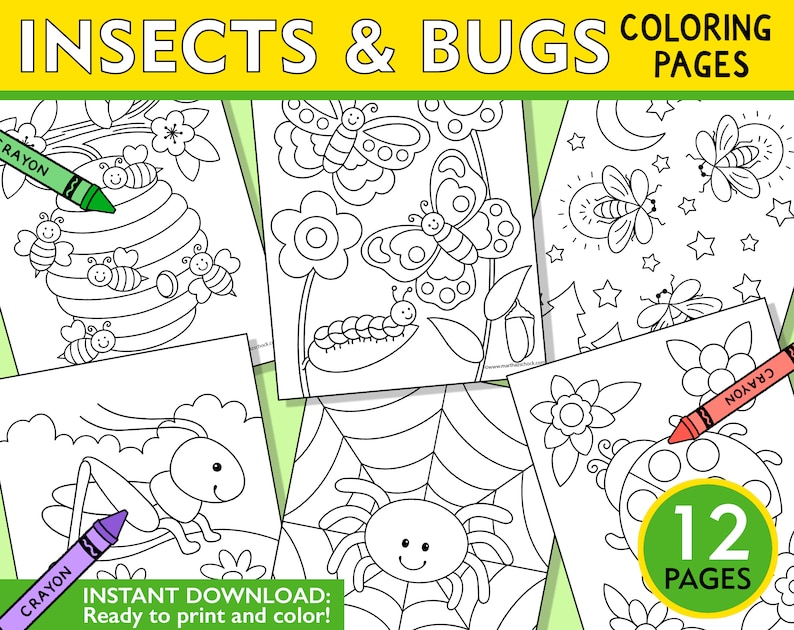 Insect & Bugs Coloring Pages, Insect and Bugs Coloring Sheets, Kids ...