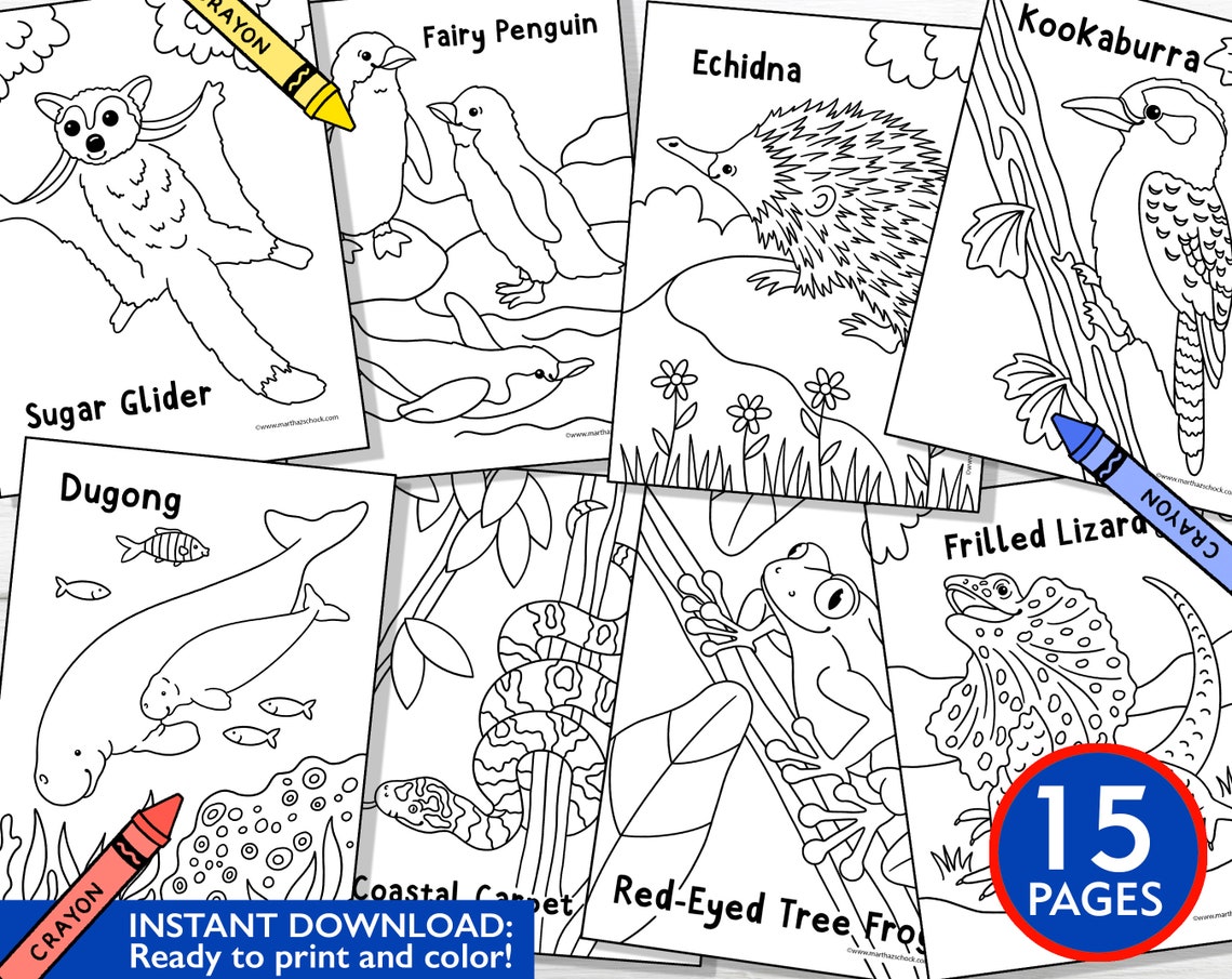 Australian Animals Coloring Pages: 15 Printable Designs (PDF) - Etsy