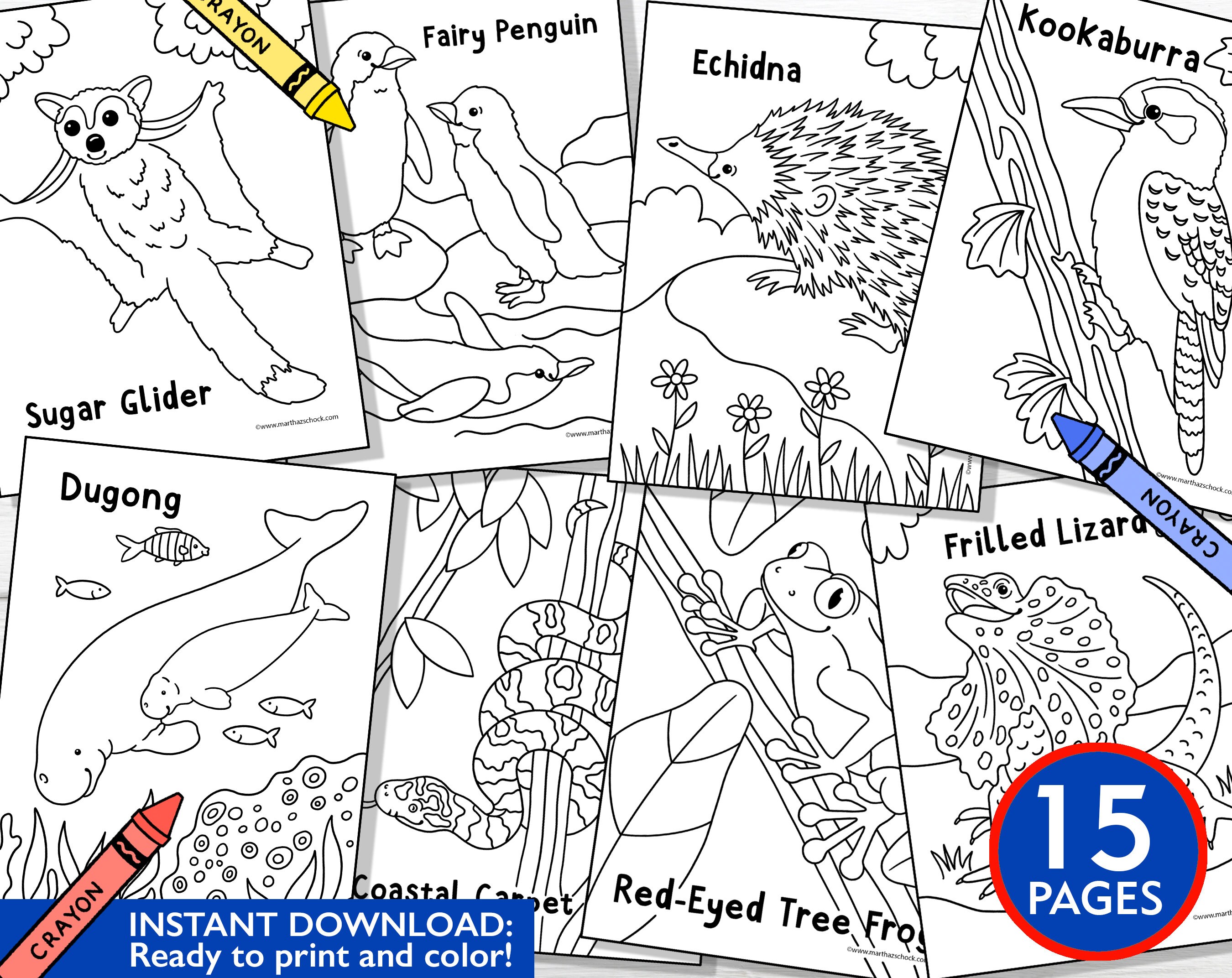 Australian Animals Coloring Pages: 15 Printable Designs (PDF) - Etsy