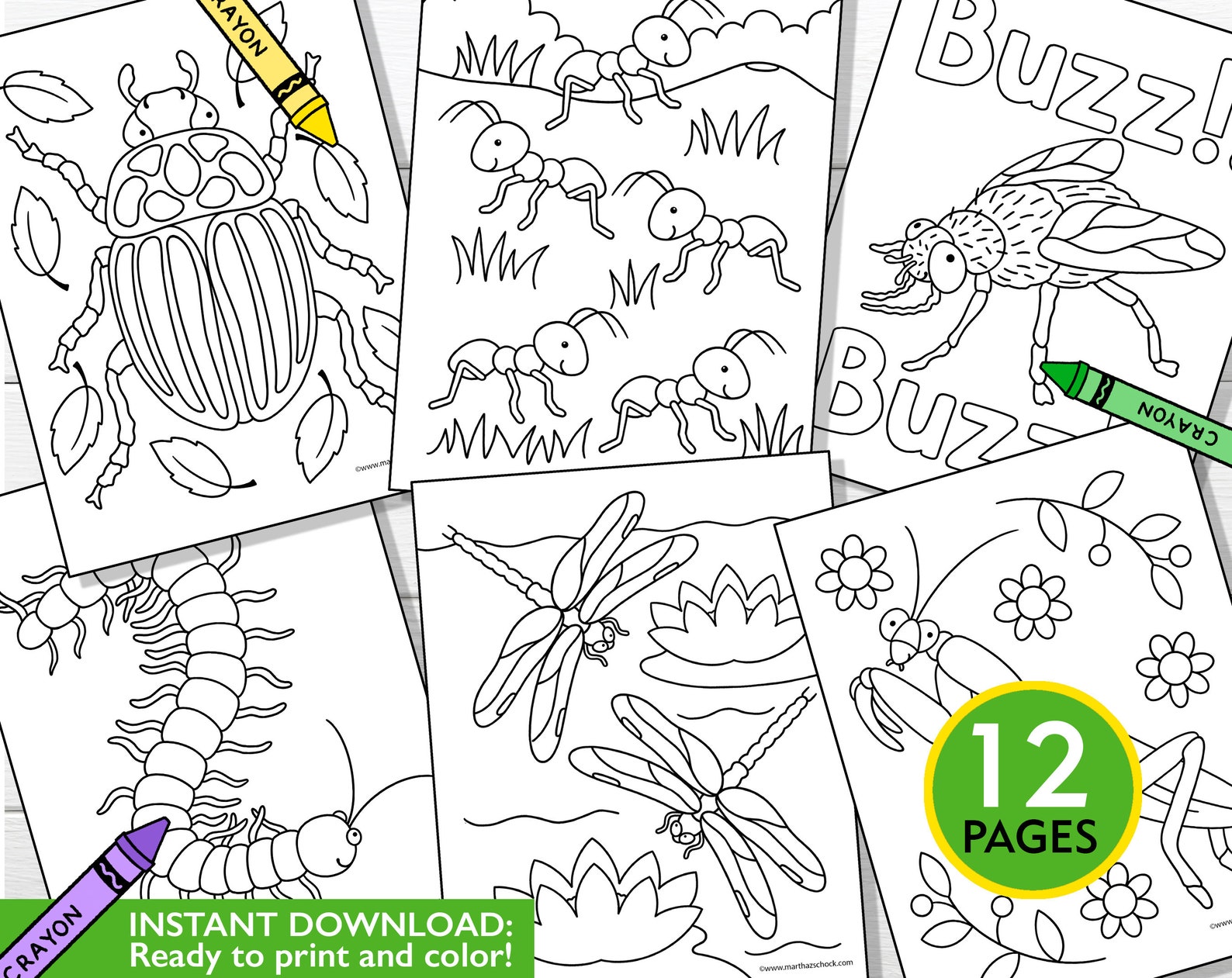 Insect & Bug Coloring Pages: Kids Activity (PDF Download) - Etsy
