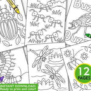 Insect & Bugs Coloring Pages, Insect and Bugs Coloring Sheets, Kids ...