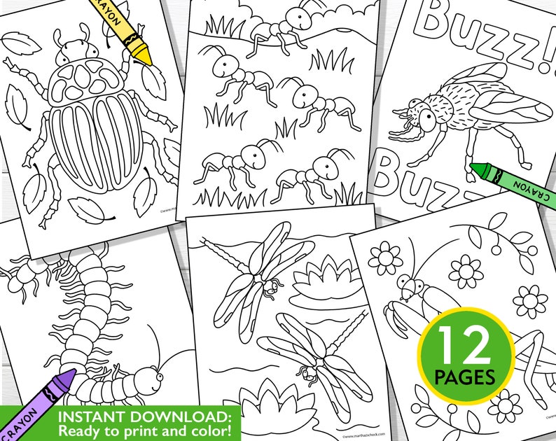 Insect & Bugs Coloring Pages Insect and Bugs Coloring Sheets - Etsy