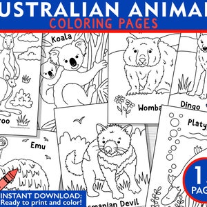 Australian Animals Coloring Pages: 15 Printable Designs (PDF) - Etsy