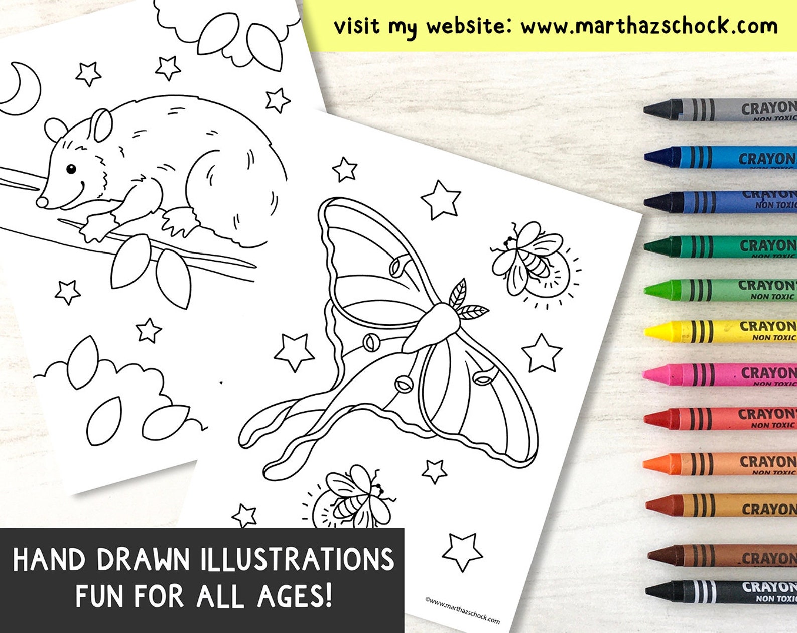 Nocturnal Animals Coloring Pages: 12 Printable Sheets (digital Download ...
