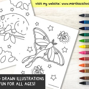 Nocturnal Animals Coloring Pages, Animals at Night, Nocturnal Animals ...