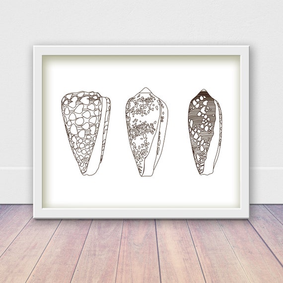 Prints 8x10 nautical art Black and White Seashell print coastal wall ...