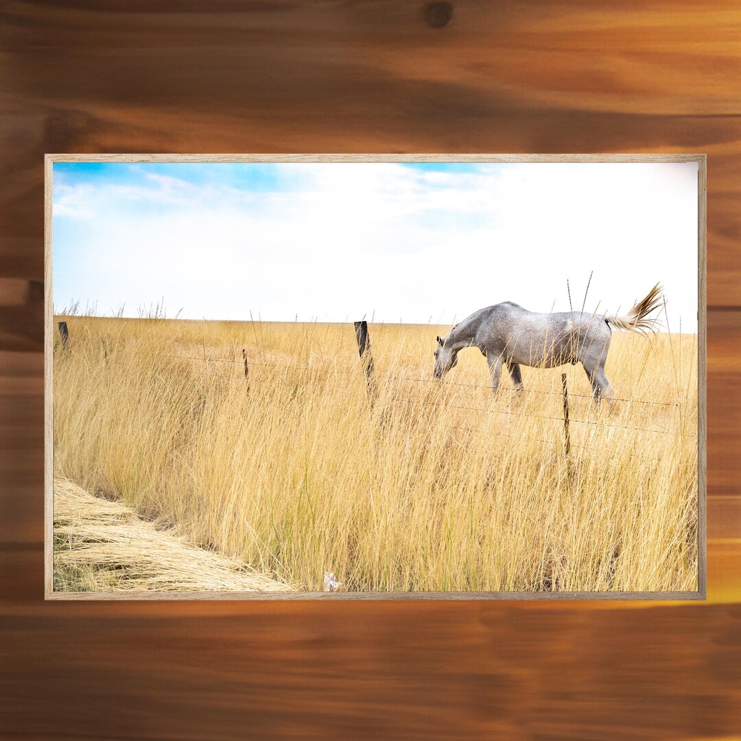 Horse in Waving Fields, Wall Art. Print, Canvas or Metal Prints. All ...