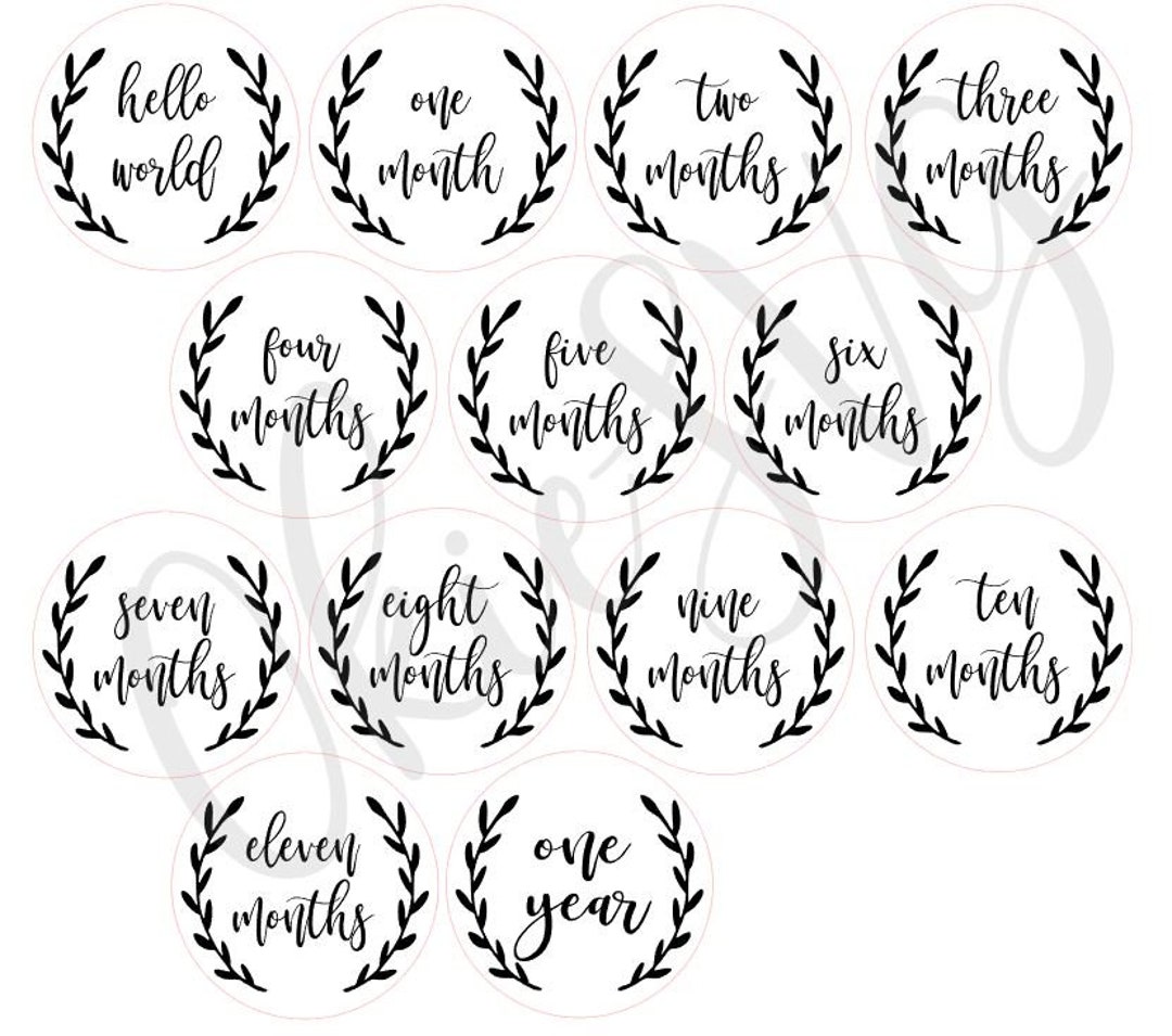 Baby Milestone Photo Prop Month Cutouts SVG File for Laser Cutting and ...