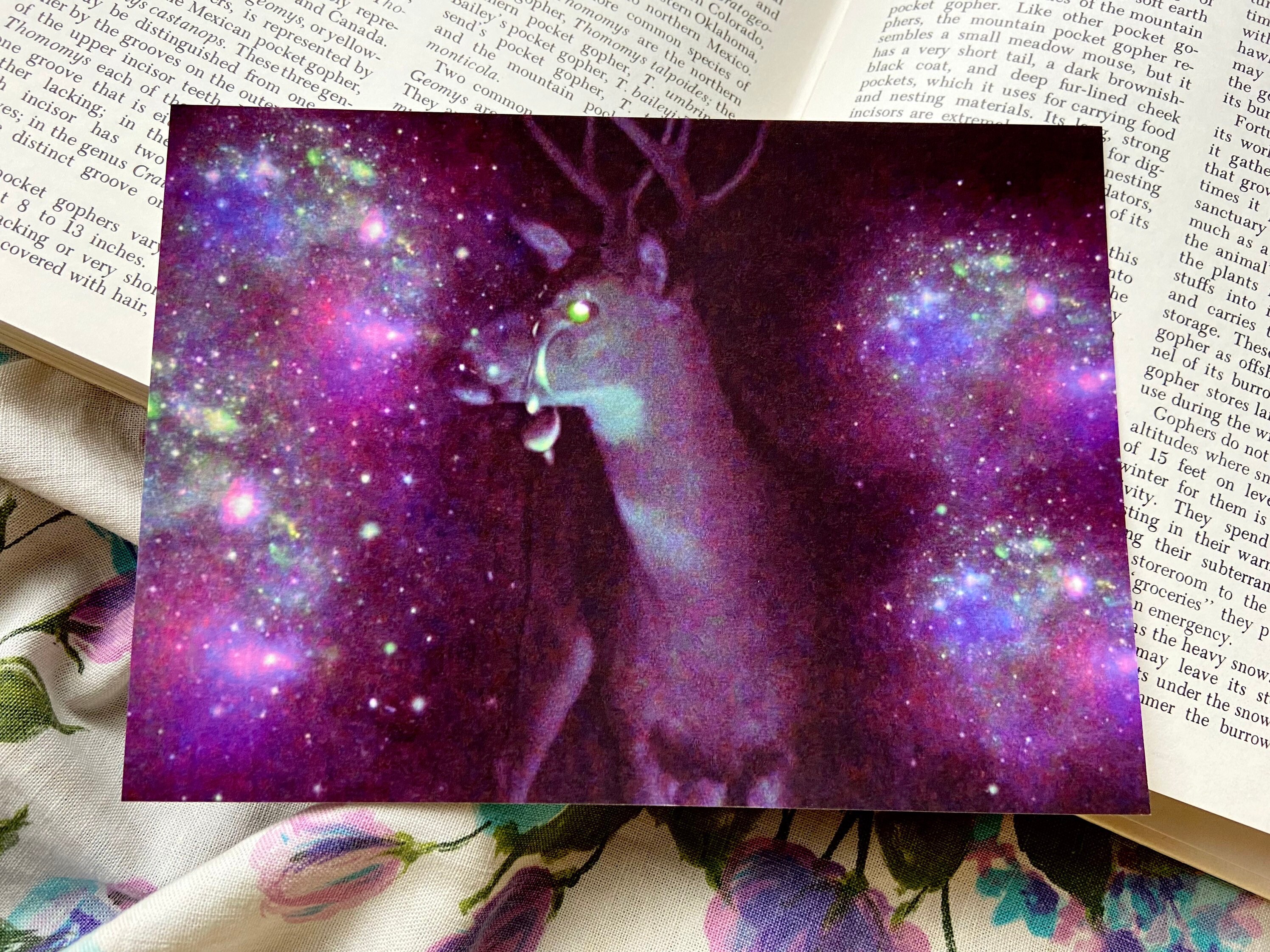 Tapetum Lucidum Mixed Media Art Print 5x7” - Etsy