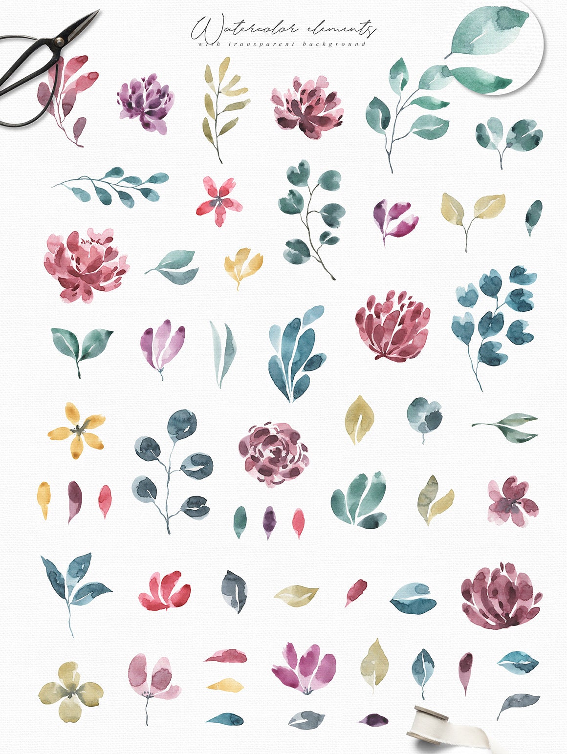 Blossoms Collection - Watercolor Digital Clipart - Individual PNG Files ...