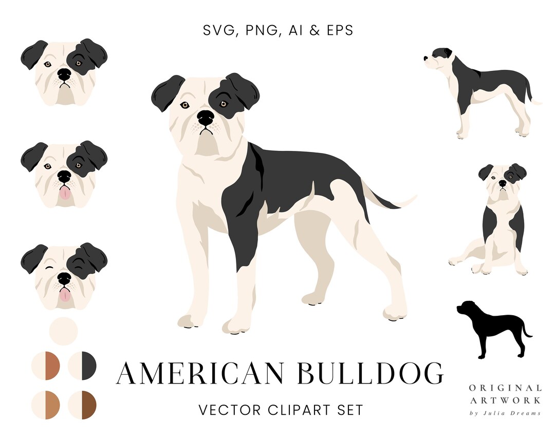 American Bulldog - Dogs Clipart Set - Dog Breeds - Digital PNG SVG ...