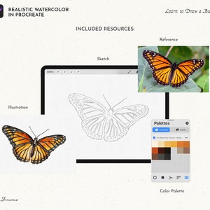 Realistic Watercolor in Procreate - Procreate Tutorial Watercolor ...