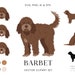 Barbet - Dogs Clipart Set - Dog Breeds - Digital PNG SVG Vector - Cute ...