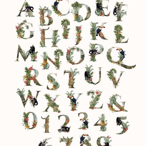 Watercolor Jungle Alphabet Letters Numbers - Tropical Animals Tropic ...