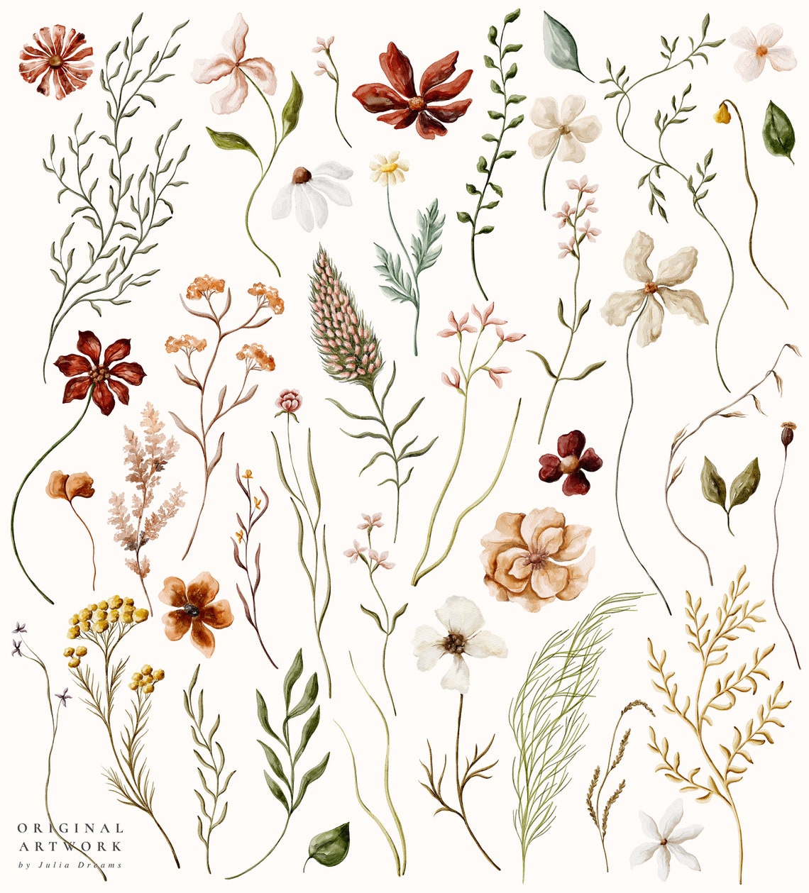 Wild Bloom Watercolor Digital Clipart Set - Individual PNG Files ...