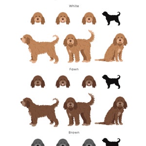 Barbet - Dogs Clipart Set - Dog Breeds - Digital PNG SVG Vector - Cute ...