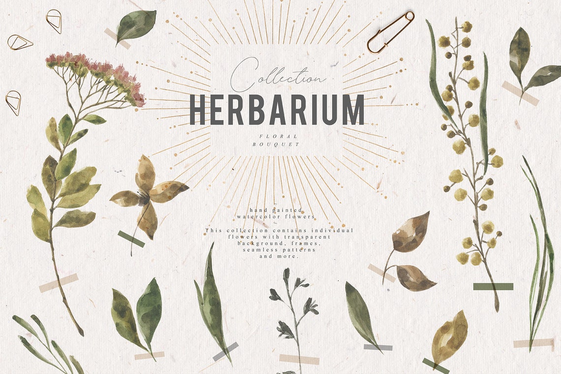 Herbarium Digital Clipart - Individual PNG Files - Watercolor Wedding ...