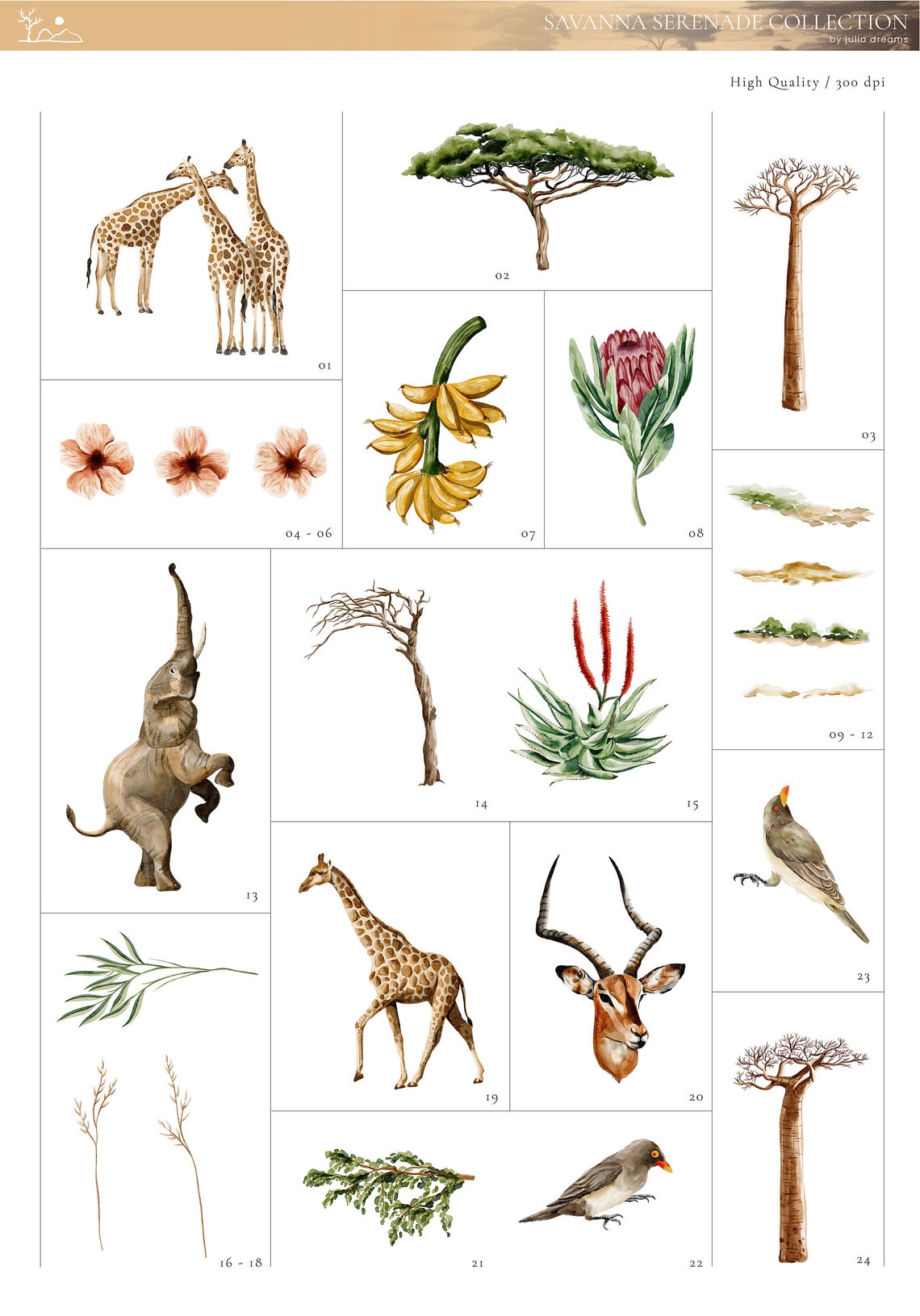 Watercolor Safari Digital Clipart Set - Savanna Serenade - Wedding ...