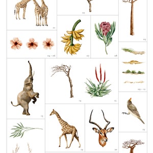 Watercolor Safari Digital Clipart Set - Savanna Serenade - Wedding ...