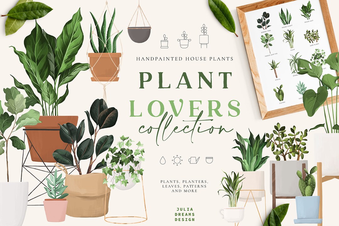 Plant Lovers Clipart - House Plants - PNG Download - Succulent Monstera ...