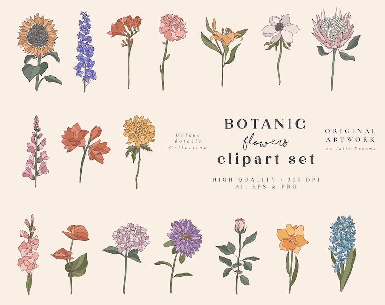Botanic Flowers Clipart - Botanical Flower Clip Art - Vector Flower ...