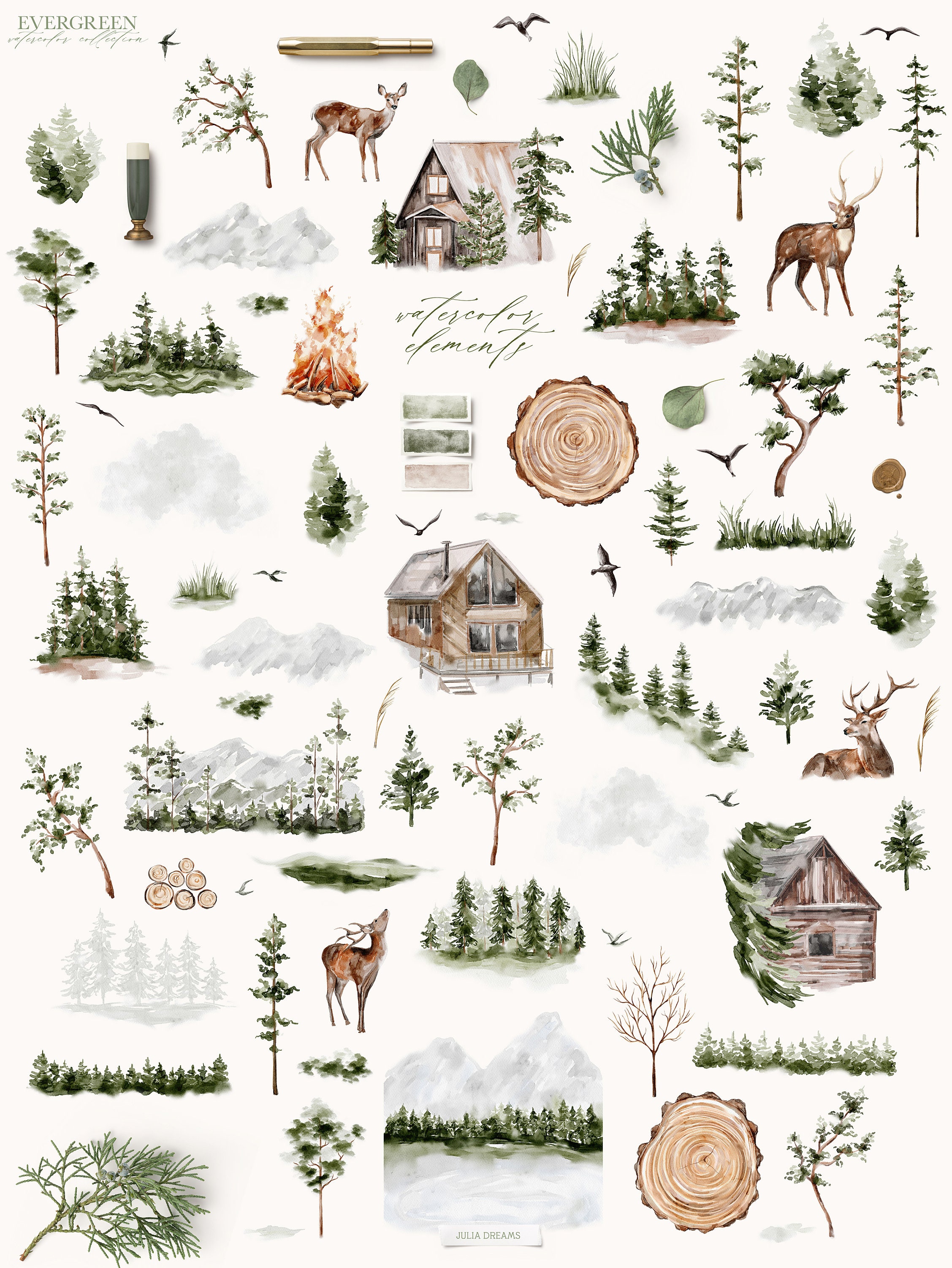 Watercolor Evergreen Forest Digital Clipart Set Wedding - Etsy