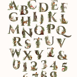 Watercolor Enchanted Forest Alphabet Letters Numbers - Woodland Animals ...