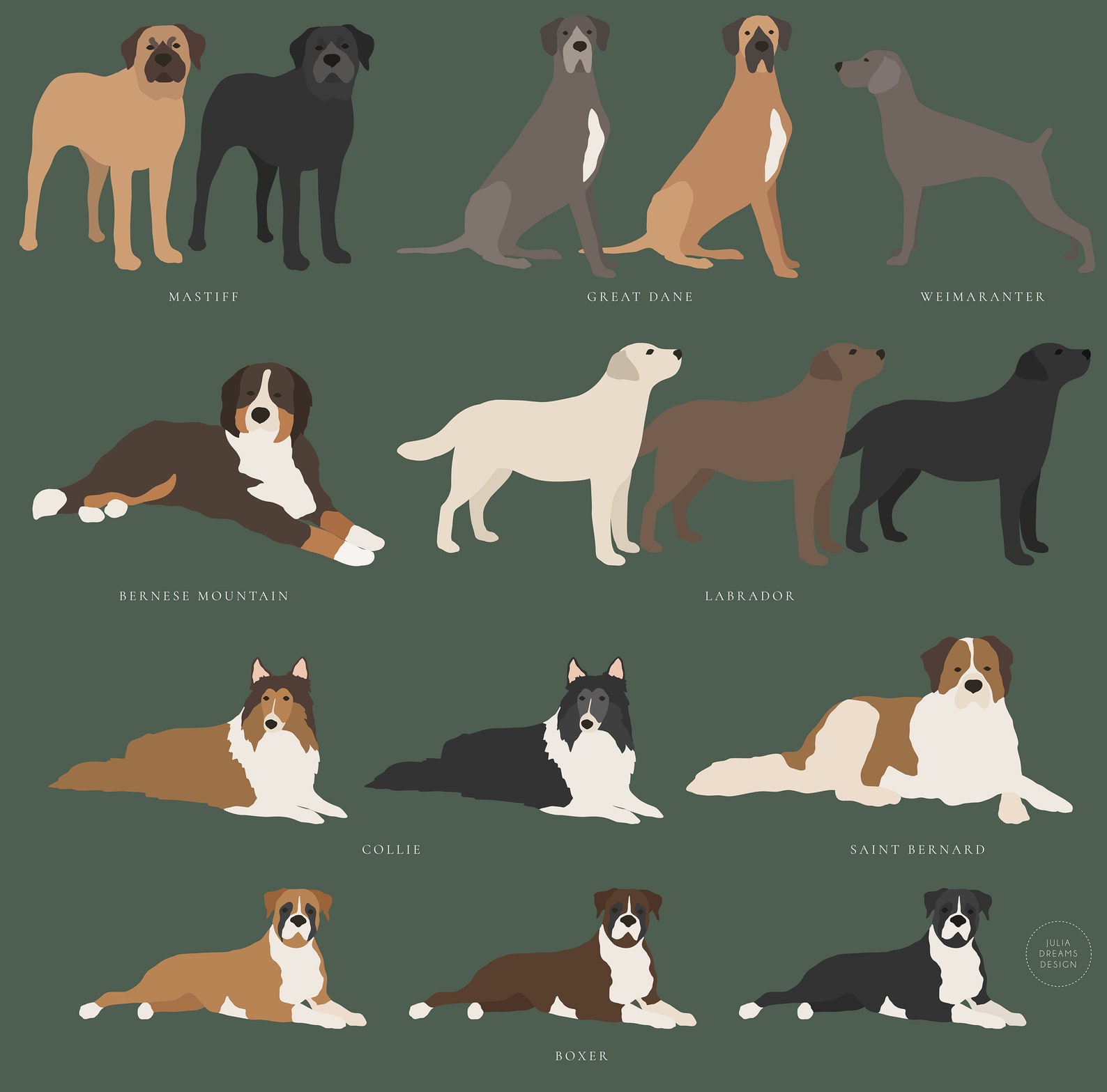 Dog Clipart Set - Hand Drawn Dog Breeds - Small, Medium and Large Dogs ...