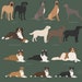 Dog Clipart Set - Hand Drawn Dog Breeds - Small, Medium and Large Dogs ...