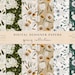 Digital Papers Spring Set - Scrapbook Papers - Seamless Patterns ...