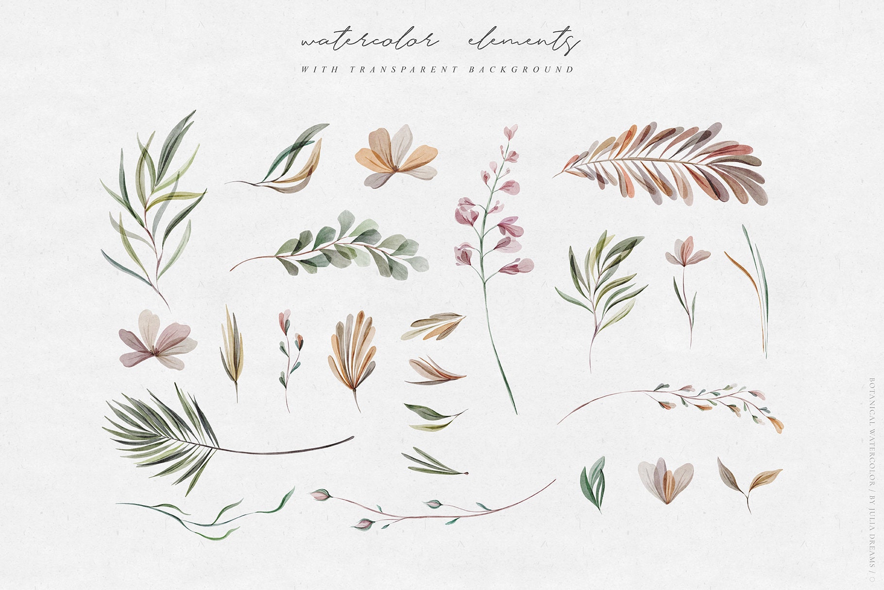 Botanical Watercolor Watercolor Digital Clipart Individual - Etsy