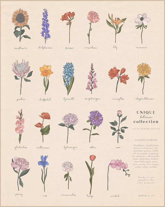 Multiple Options Clipart Of Flowers
