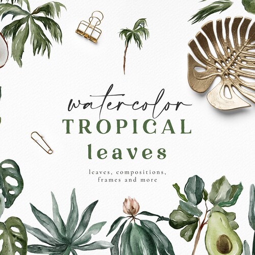 Watercolor Tropical Leaves Clipart Monstera Clipart Jungle - Etsy