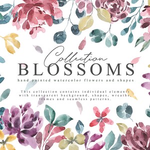Blossoms Collection - Watercolor Digital Clipart - Individual PNG Files ...