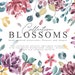 Blossoms Collection - Watercolor Digital Clipart - Individual PNG Files ...