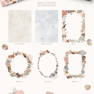 Ocean Breeze - Seashells Watercolor Digital Clipart - Individual PNG ...