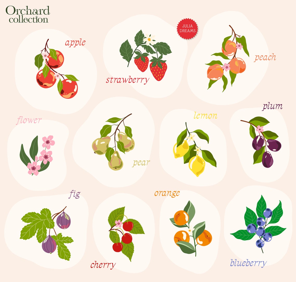 Fruits and Berries Clipart Set Orchard Flower Clip Art - Etsy