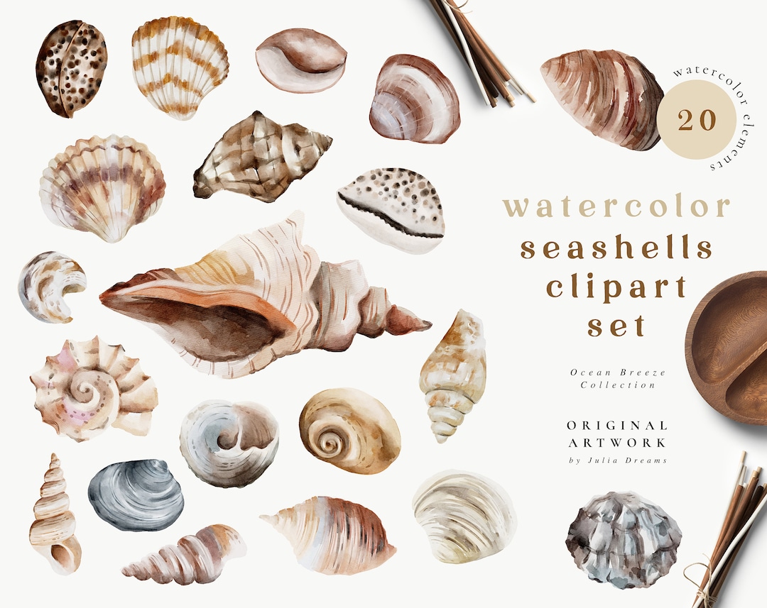 Watercolor Seashells Digital Clipart Set - Ocean Breeze - Wedding ...