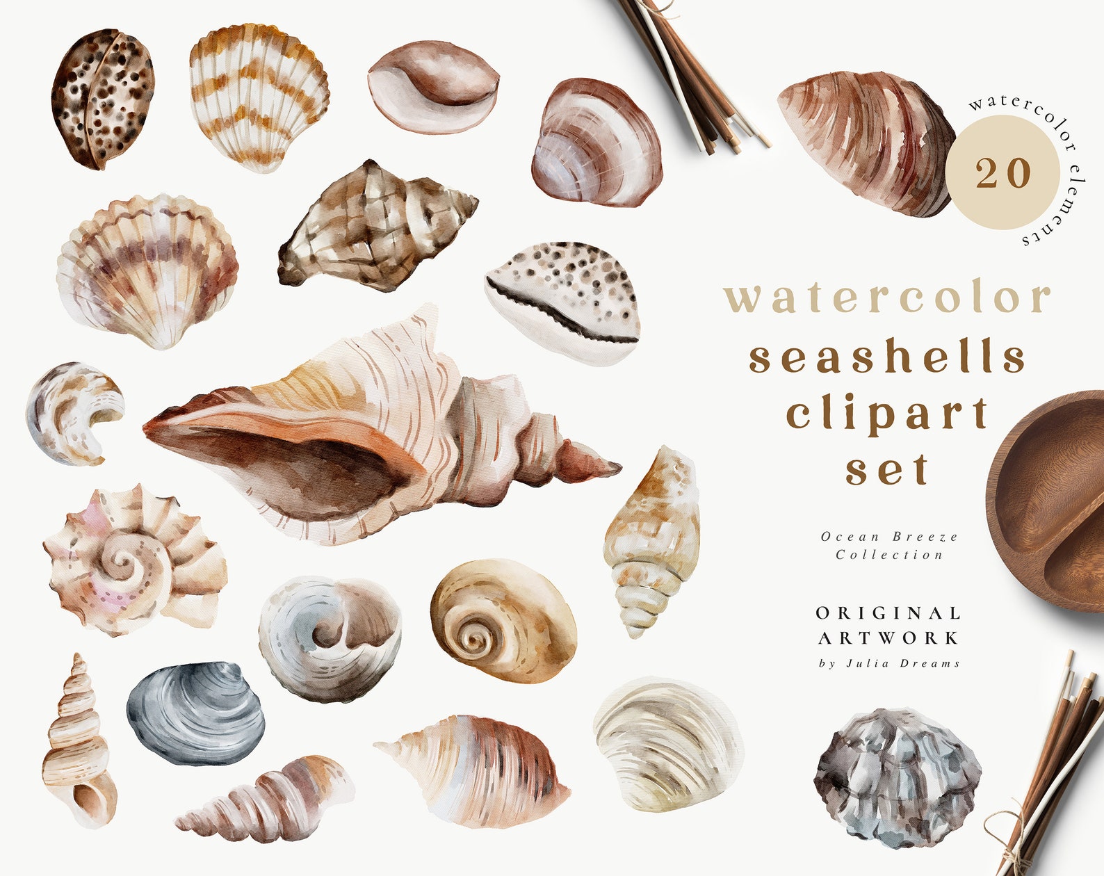 Watercolor Seashells Digital Clipart Set - Ocean Breeze - Wedding ...
