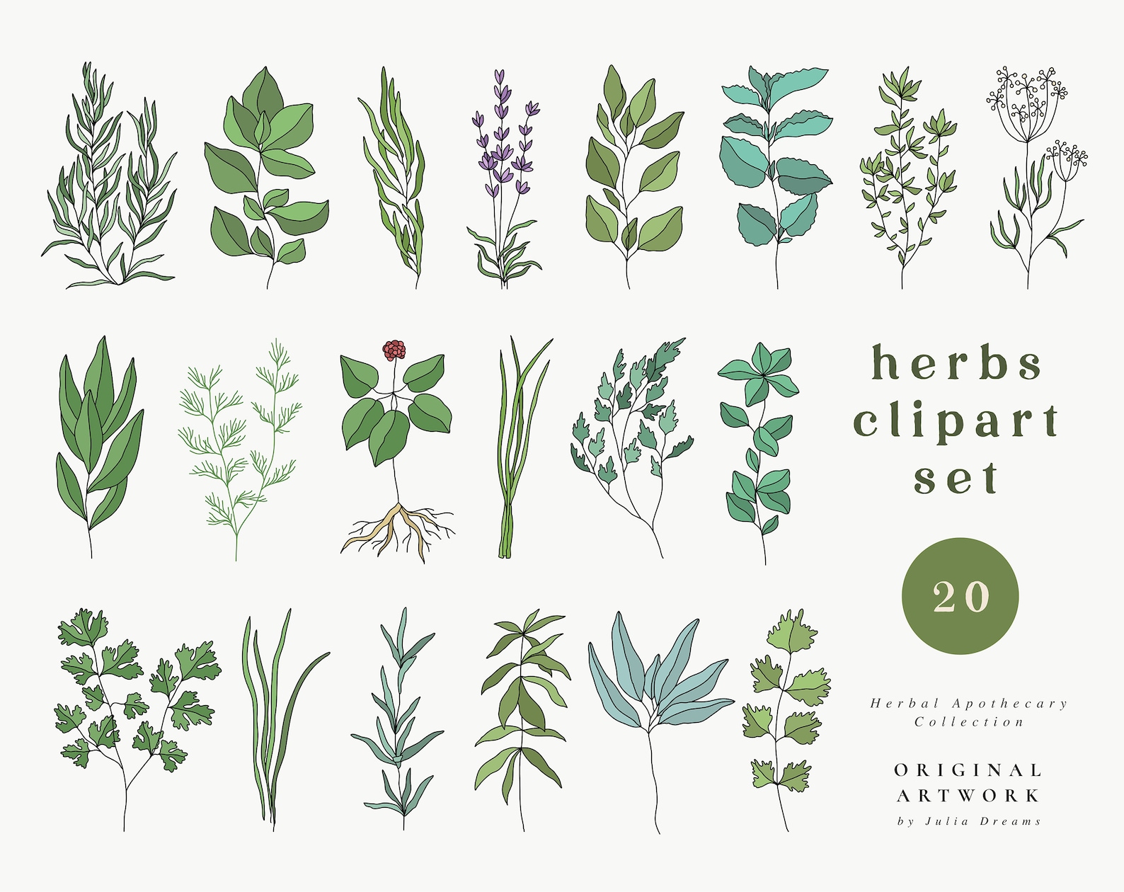 Herbs Clipart Set Garden Herbs Download Kitchen Decor - Etsy
