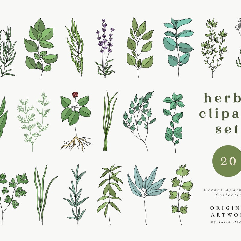 Herb Clipart - Etsy