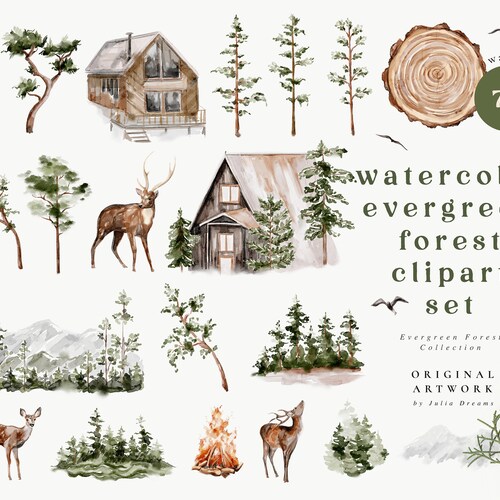 Watercolor Evergreen Forest Digital Clipart Set Wedding - Etsy