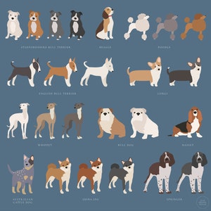 Dog Clipart Set - Hand Drawn Dog Breeds - Small, Medium and Large Dogs ...