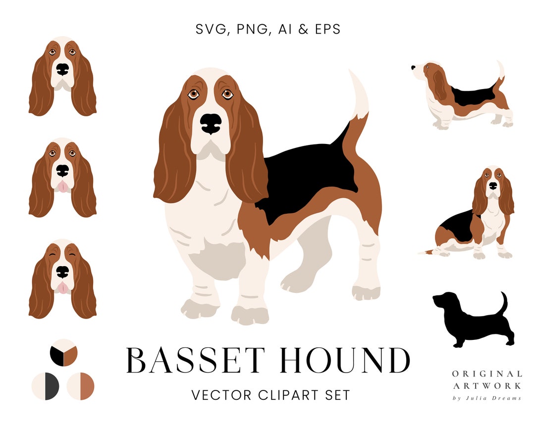 Basset Hound - Dogs Clipart Set - Dog Breeds - Digital PNG SVG Vector ...