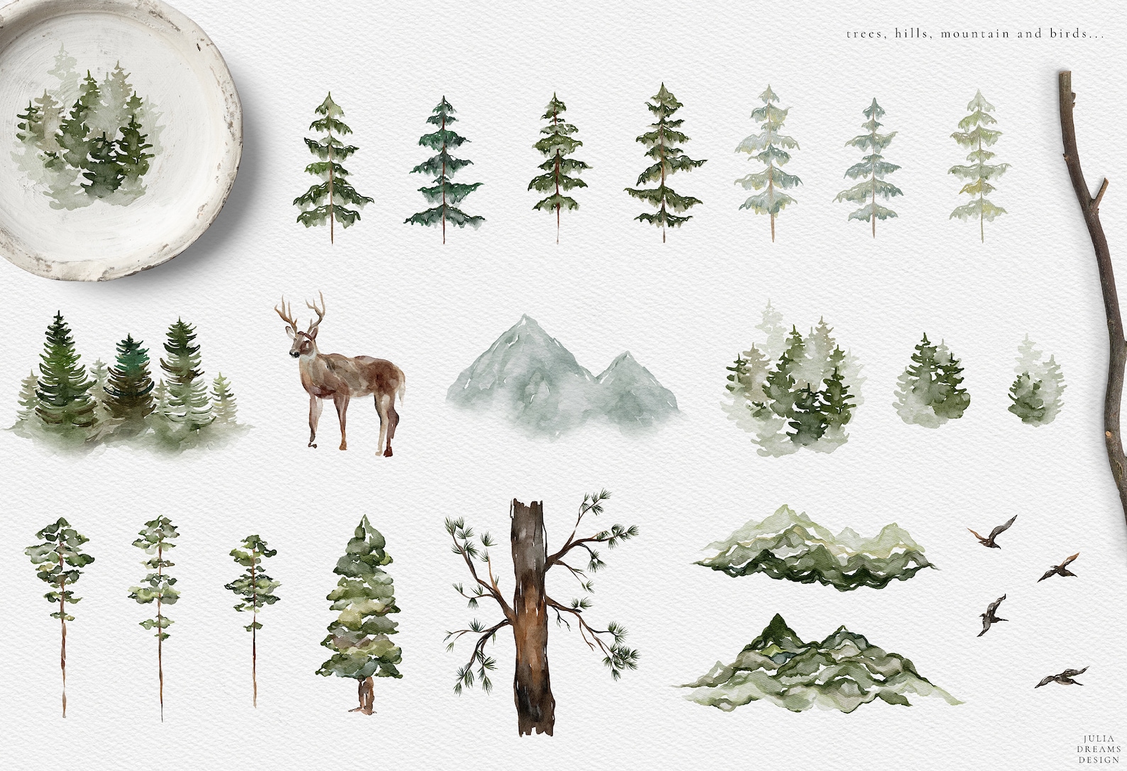 Watercolor Forest Digital Clipart Set Forest Equilibrium - Etsy